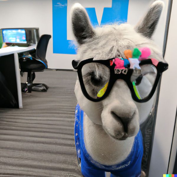 Who is The Camelid Chronicler? – Etno Alpaca